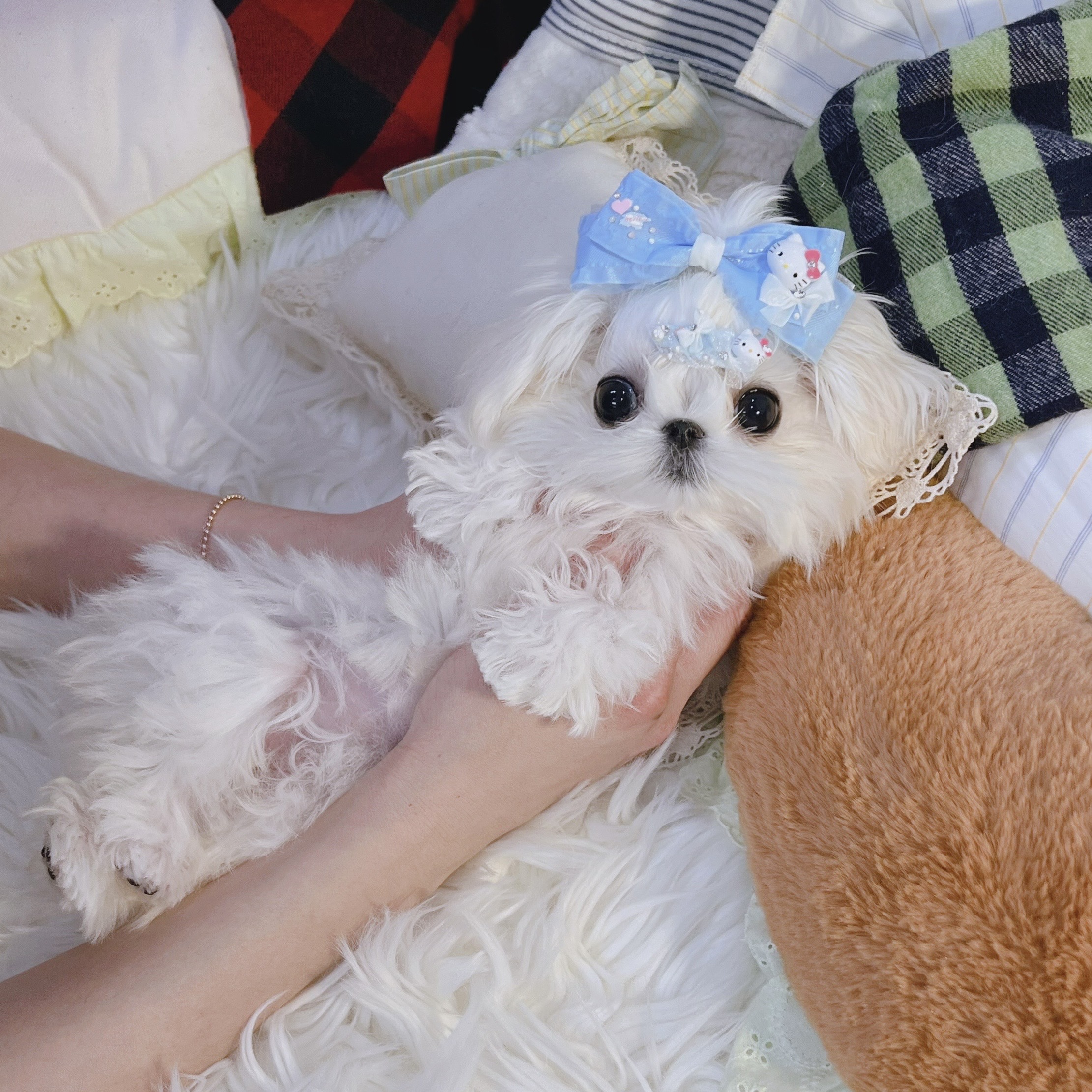 YICHENG WANG - Home Page