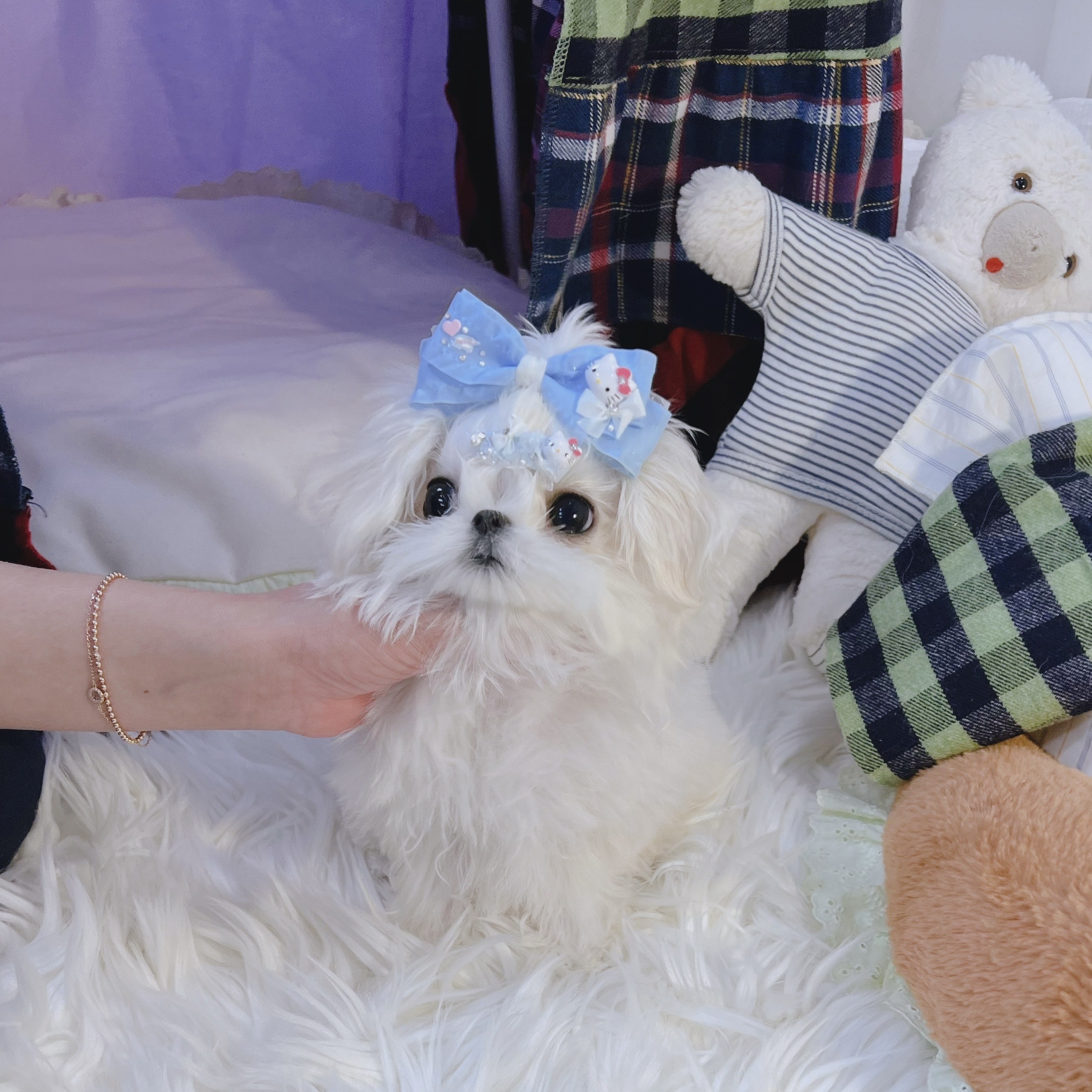 YICHENG WANG - Home Page